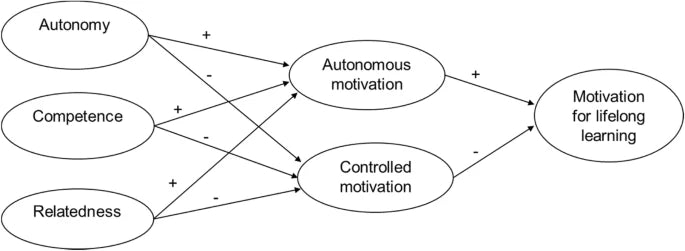 The Role of Competence in Motivation and Well-Being | Self ...